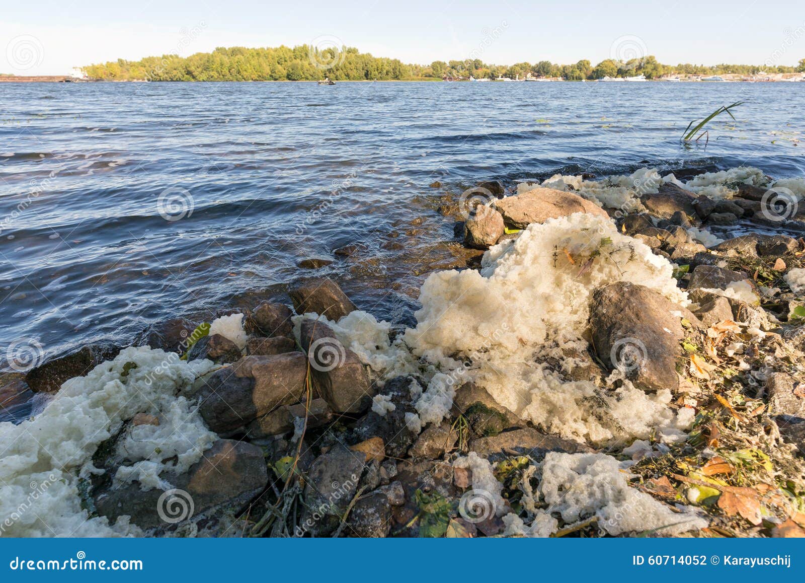 Foam Pollution in the River Stock Photo - Image of white, surface: 60714052