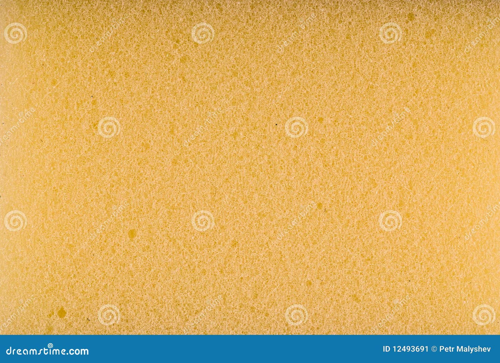 Foam Rubber Texture Royalty-Free Stock Photography | CartoonDealer.com ...