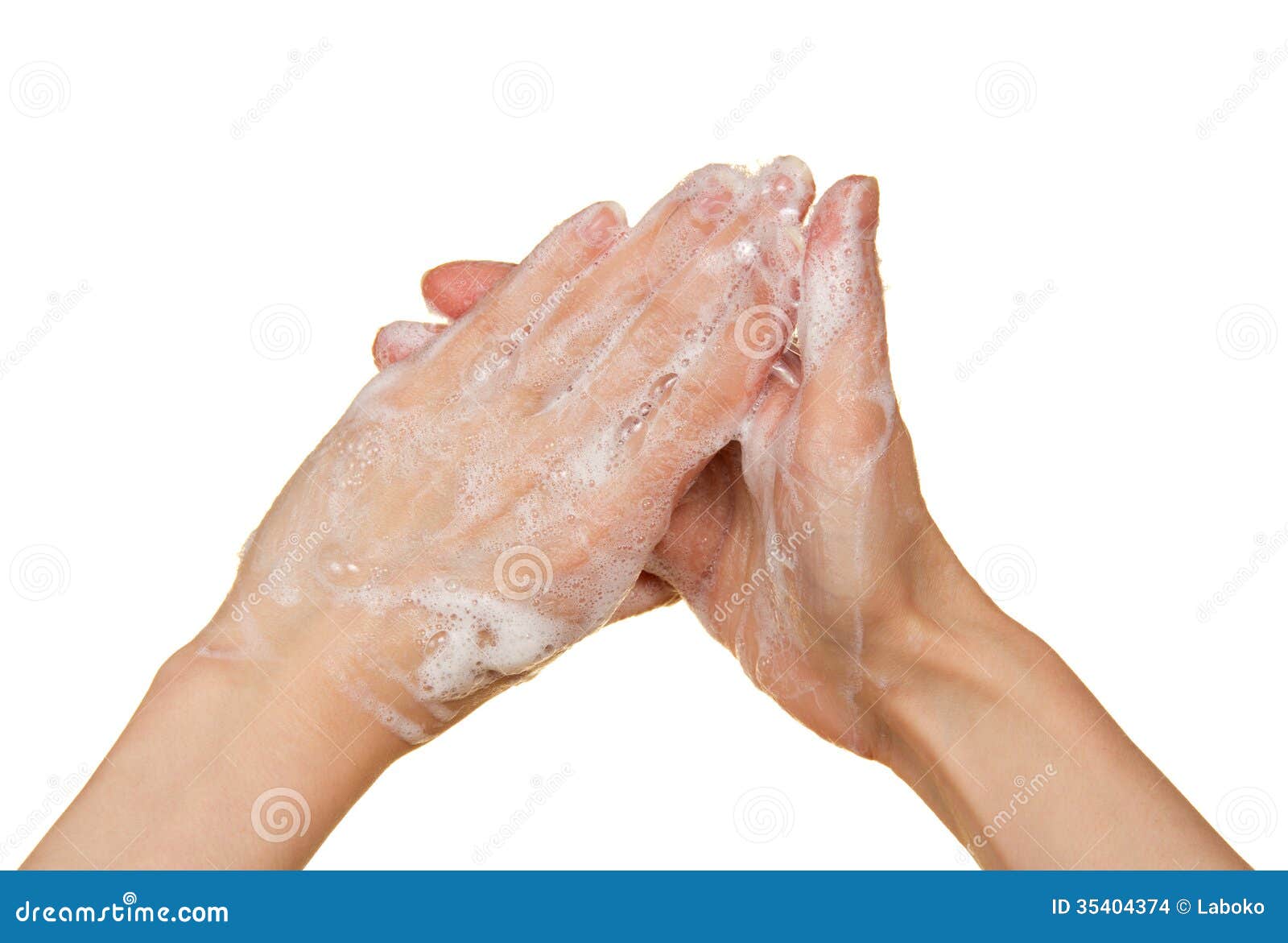 Foam of Soap on Female Hands Stock Photo - Image of health, pure: 35404374