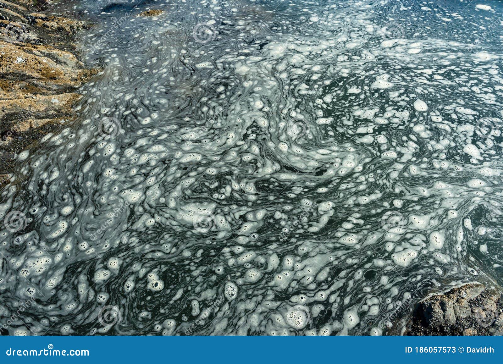 Foamy Bubble Patterns on the Surface of the Water at the Seashore Stock ...