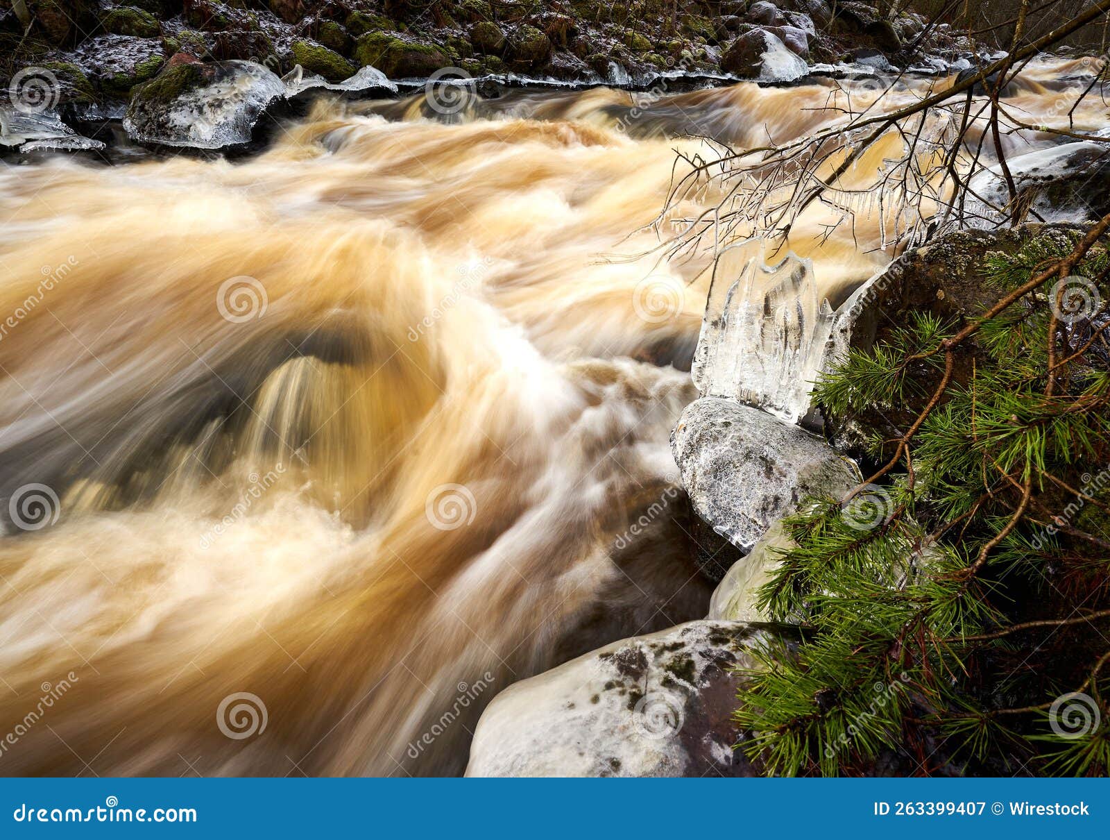 Foamy River Flowing through Big Rocks in the Forest, Long Exposure ...