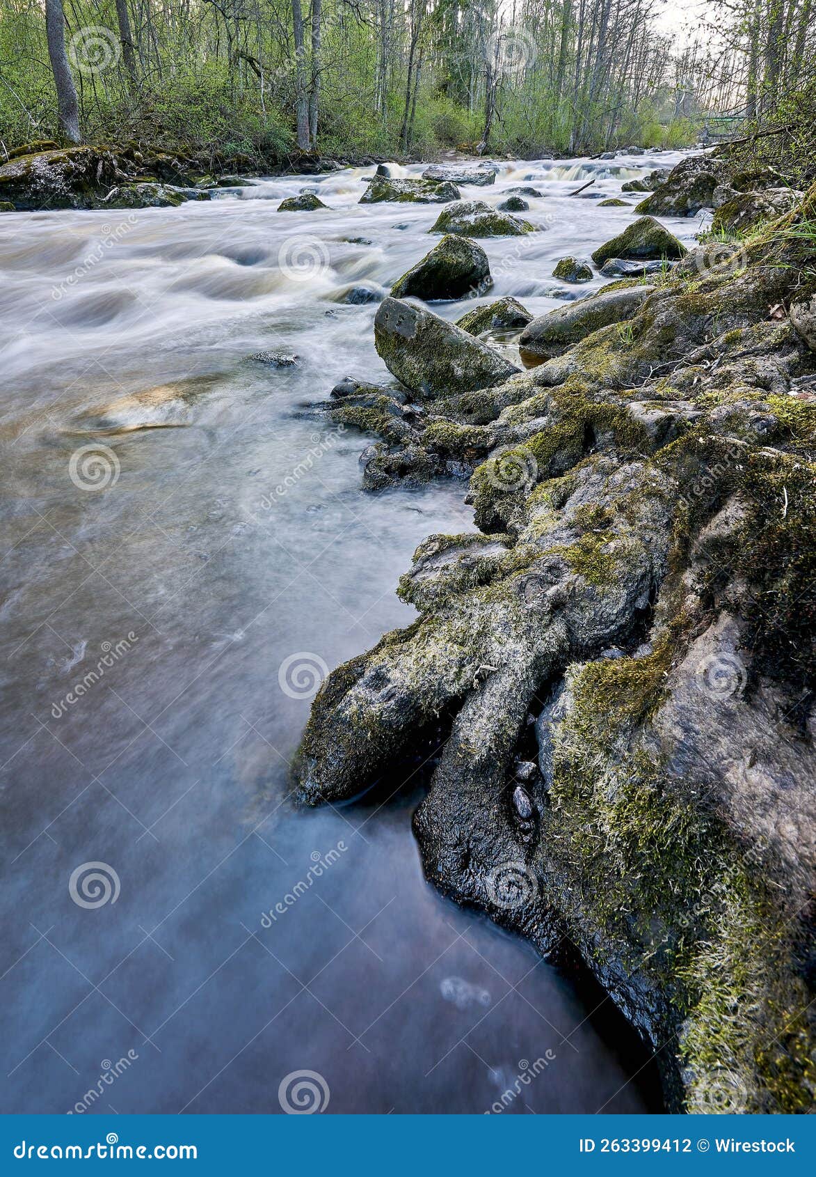 Foamy River Flowing through Big Rocks in the Forest, Long Exposure ...