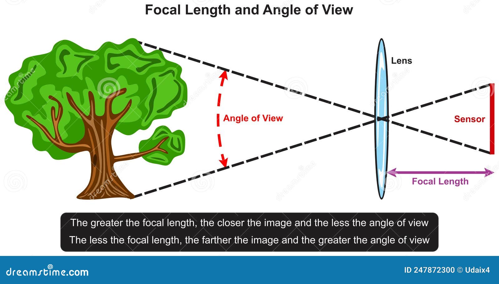 Focal Length And Angle Of View Infographic Diagram Vector Illustration ... Focal Length And Angle Of View Infographic Diagram Vector Illustration ...