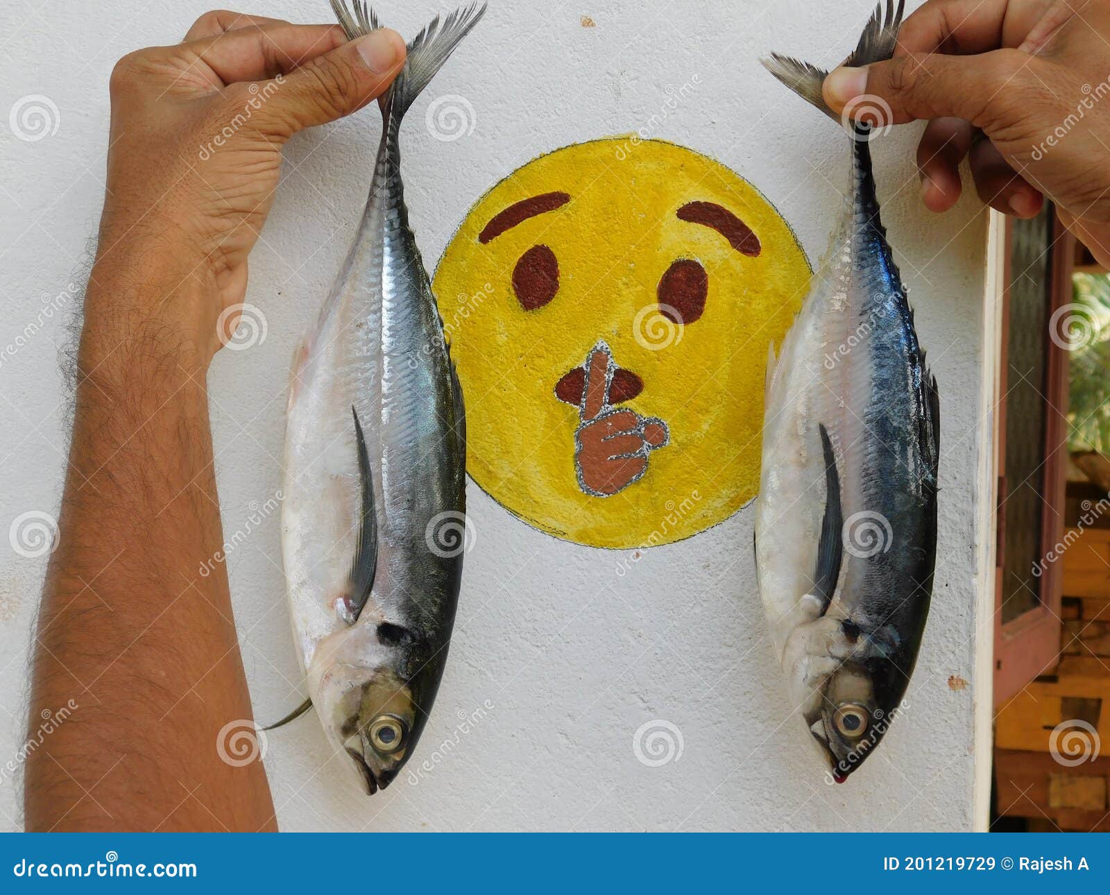 Foco Selectivo En Peces Con Manos Humanas Imagen de archivo - Imagen de ...