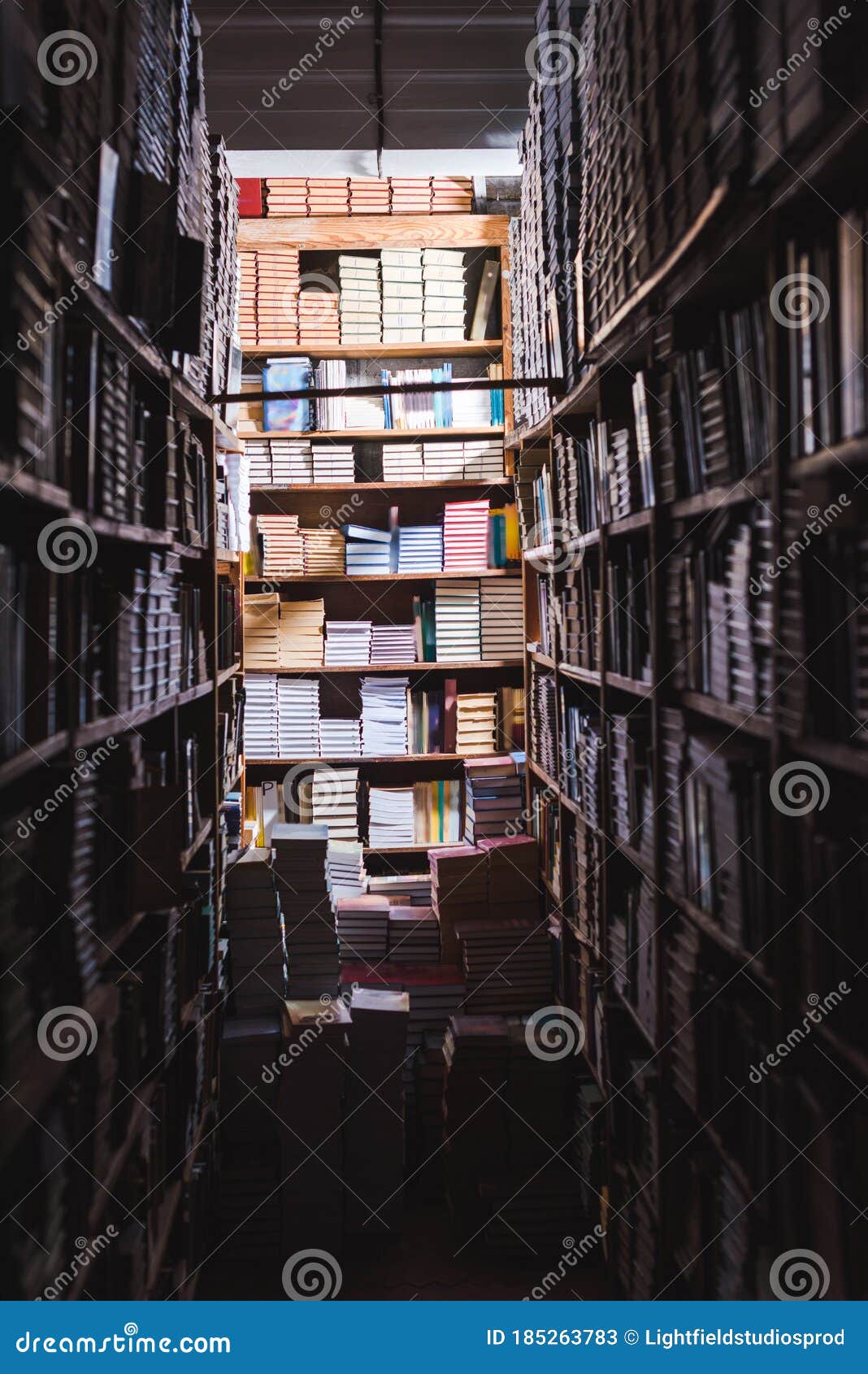 Focus of Books on Wooden Shelves in Library Stock Image - Image of ...