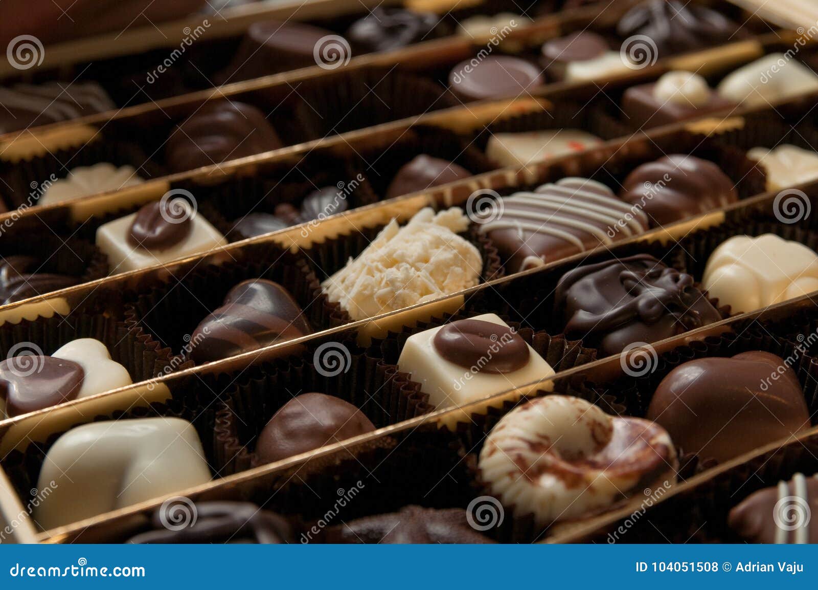 Focus on a Box of Luxury Belgian Pralines Chocolate Stock Photo - Image ...