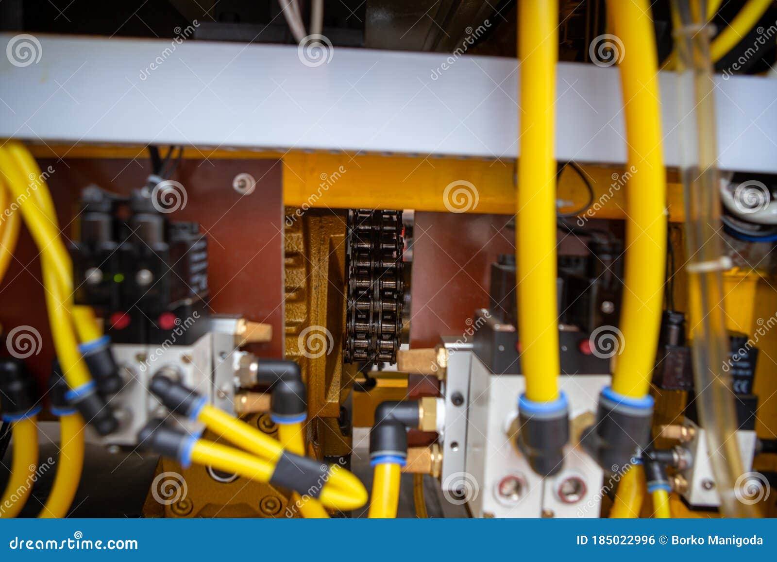 Focus on the Chain Power Transmission on Packaging Machines. in Front ...