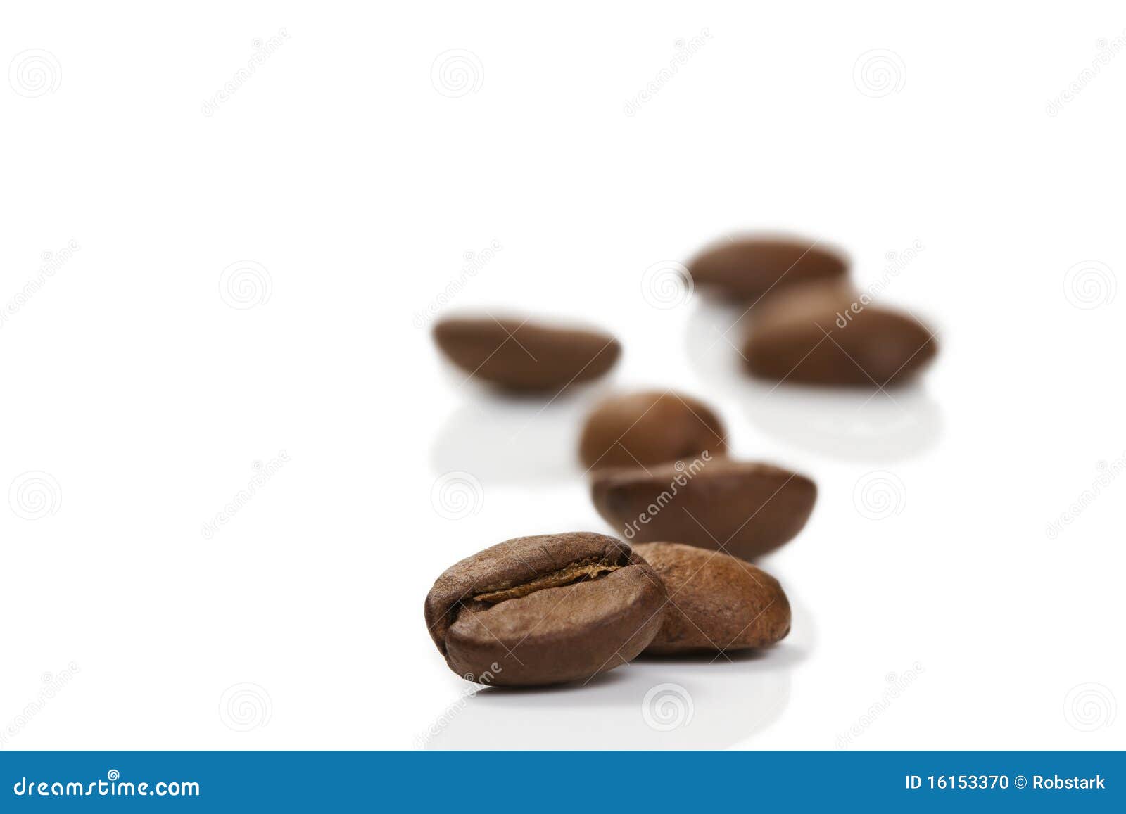 Focus on a Coffee Bean in Front of Others Stock Photo - Image of grain ...