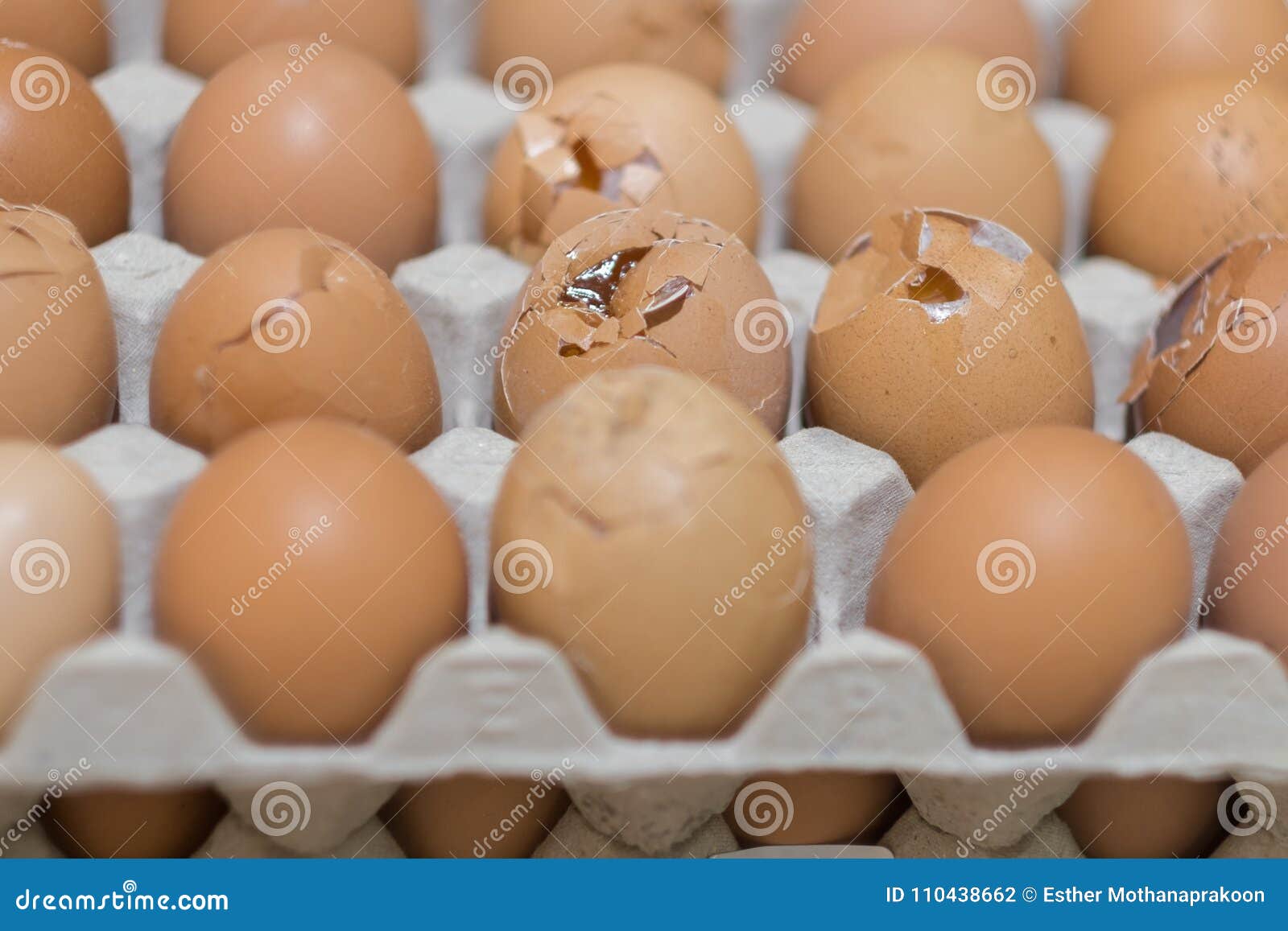Focus on the Cracked Egg in the Eggs Tray Stock Photo - Image of ...