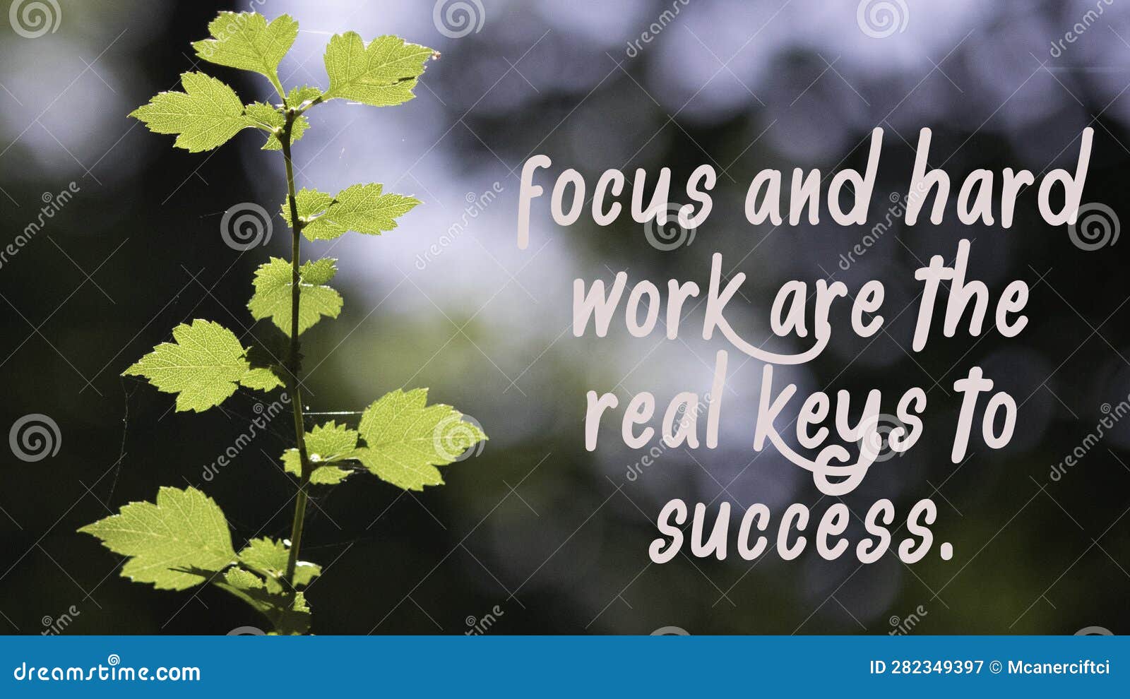 Focus and Hard Work are the Real Keys To Success. Success Slogans Stock ...