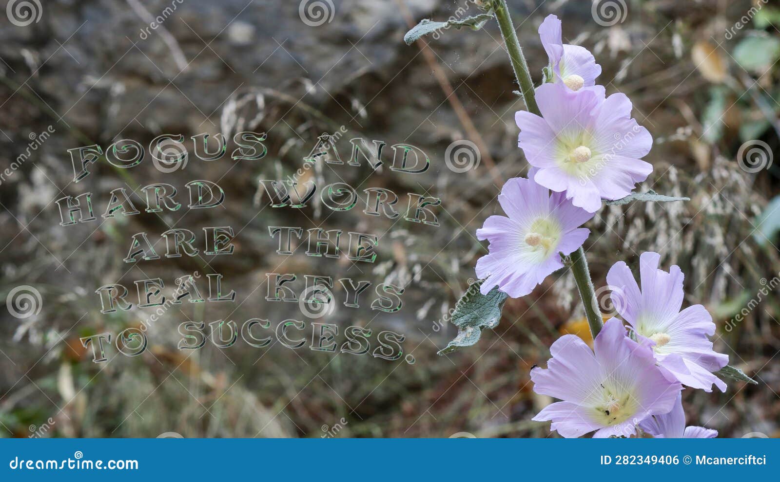 Focus and Hard Work are the Real Keys To Success. Success Slogans Stock ...