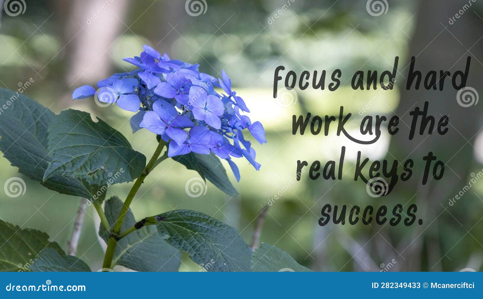 Focus and Hard Work are the Real Keys To Success. Success Slogans Stock ...