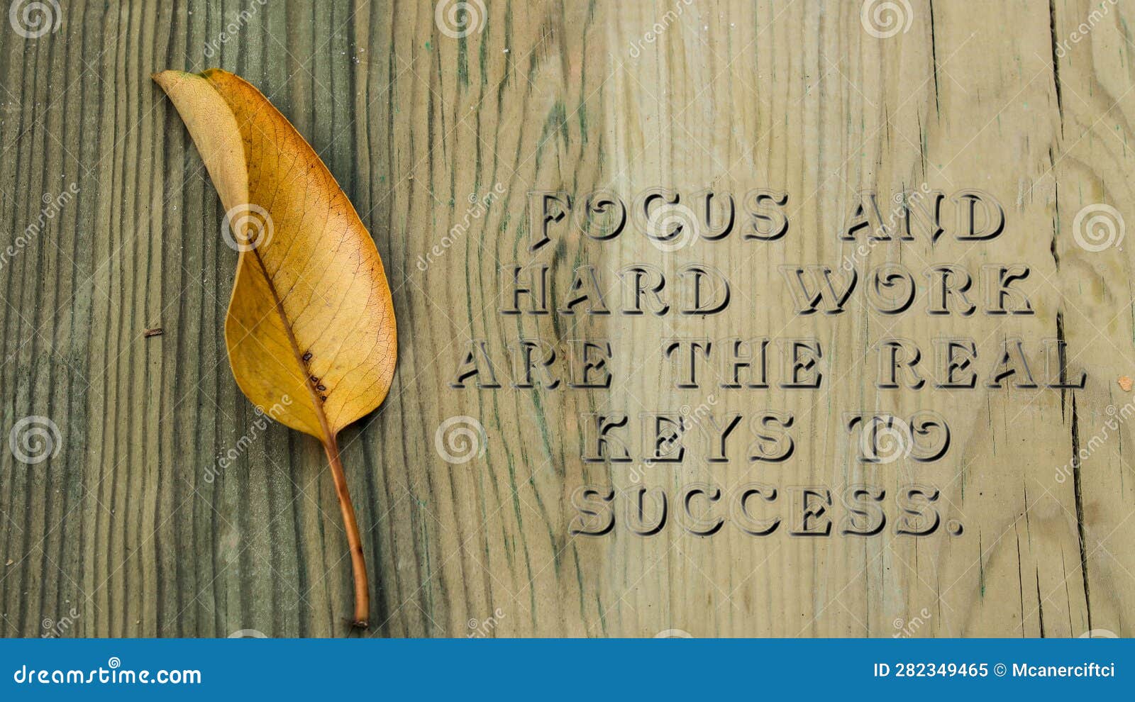Focus and Hard Work are the Real Keys To Success. Success Slogans Stock ...