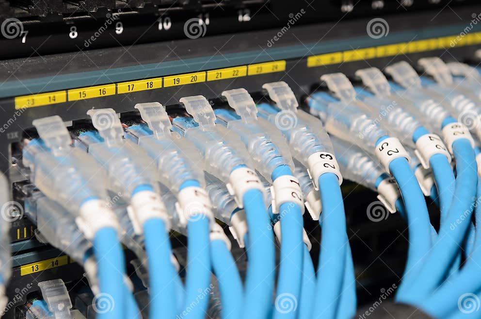 Focus on One LAN Cable Connected To Switch Stock Image - Image of ...