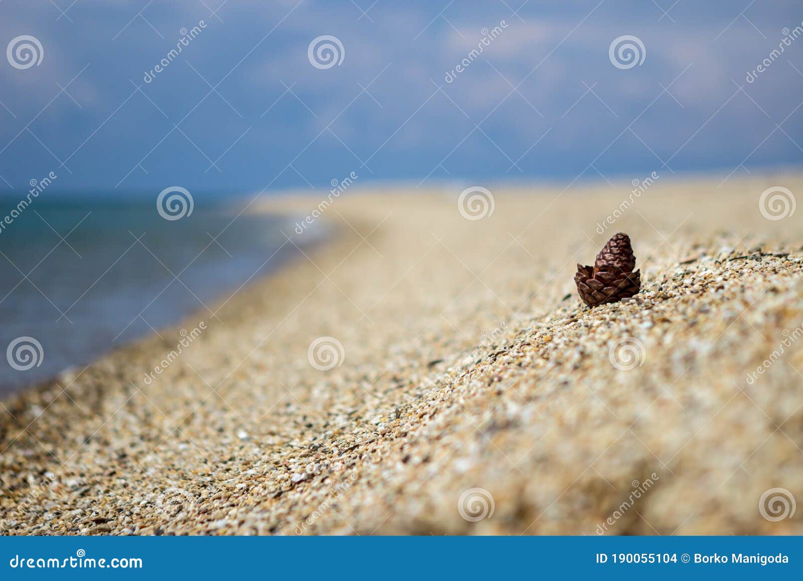 Focus on the Pinecone. the Cone is on the Beach in the Sand and Behind ...