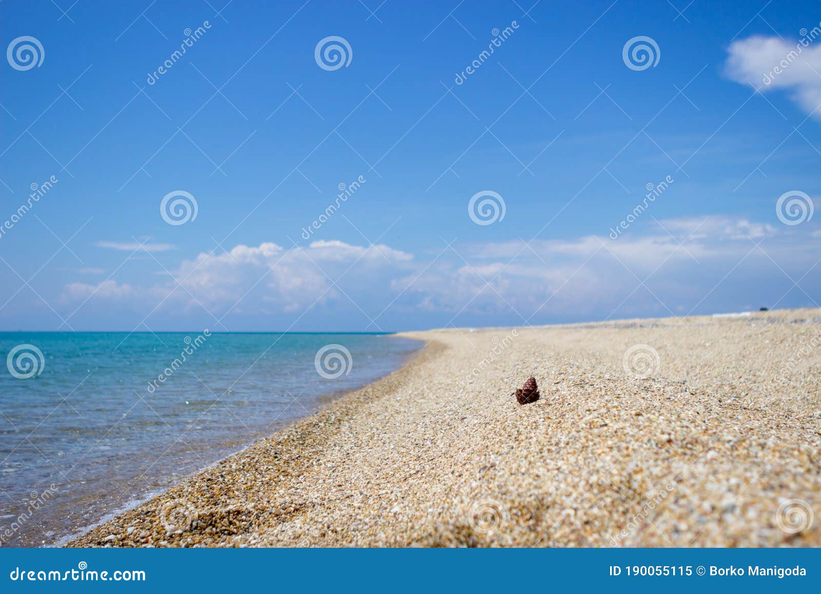 Focus on the Pinecone. the Cone is on the Beach in the Sand and Behind ...