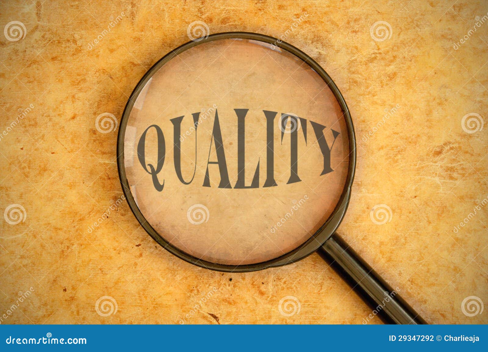 Focus on quality stock photo. Image of motivation, business - 29347292
