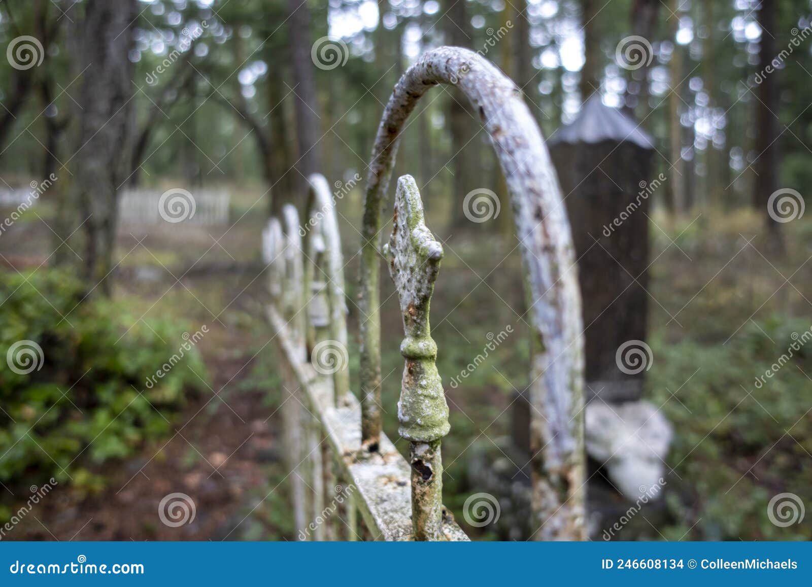 Selective Focus on a Rusted, Wrought Iron Fence in a Large, Forested ...