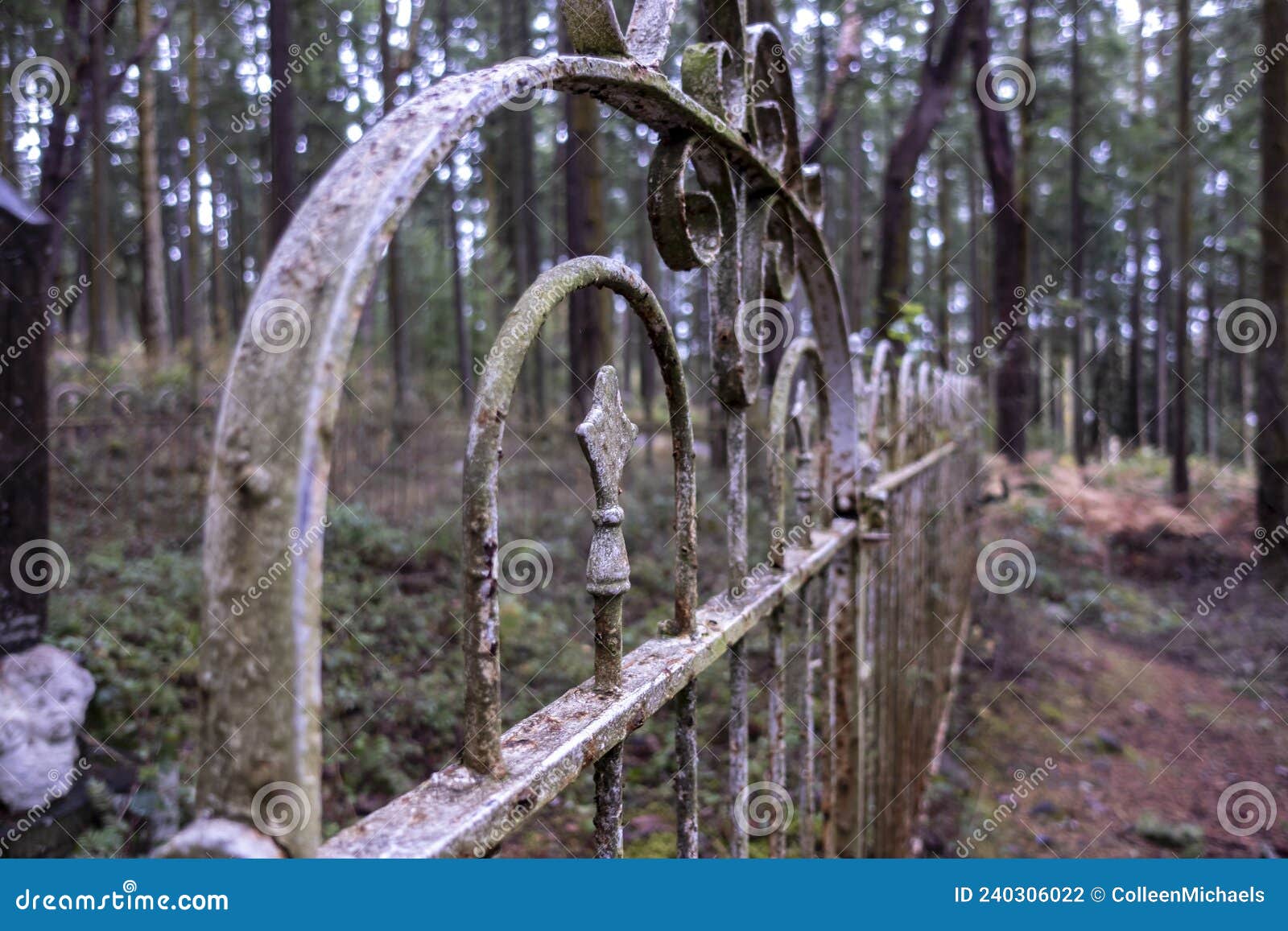 Selective Focus on a Rusted, Wrought Iron Fence in a Large, Forested ...