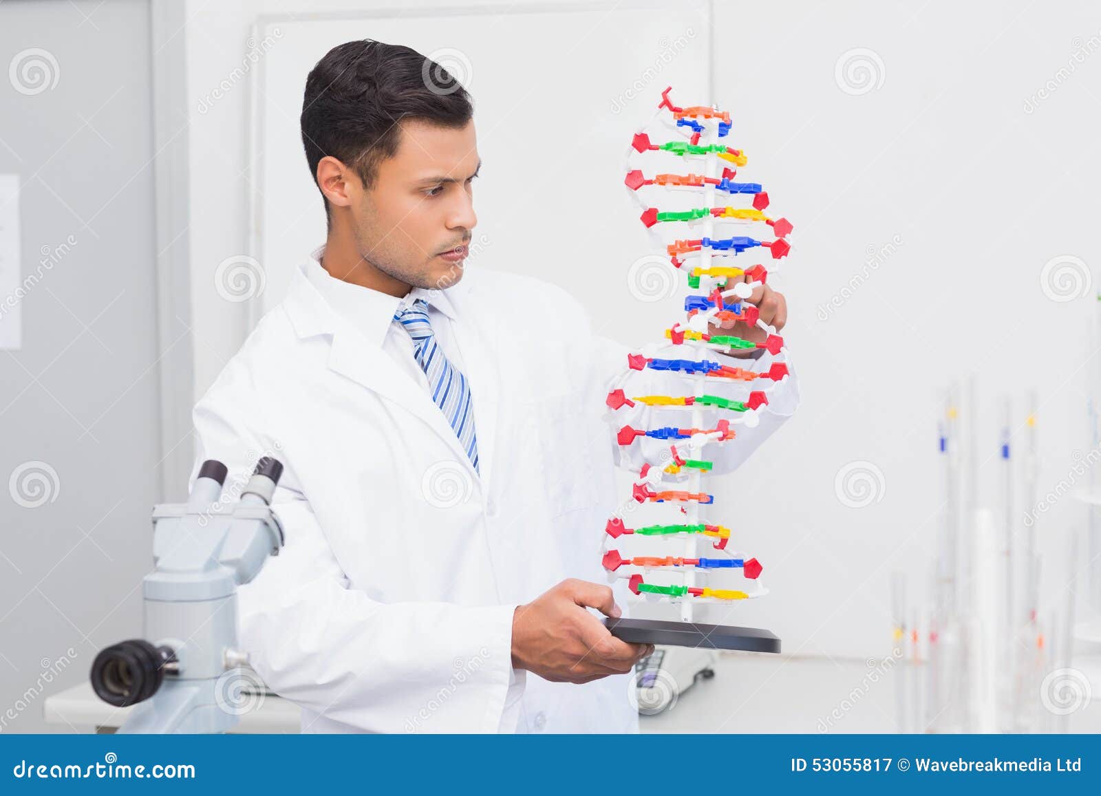 Focus Scientist Looking at DNA Helix Stock Image - Image of school ...