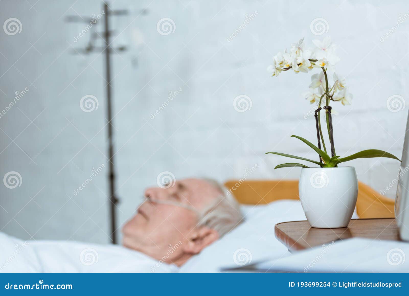 Focus of Senior Man in Coma on Bed in Hospital Stock Photo - Image of ...