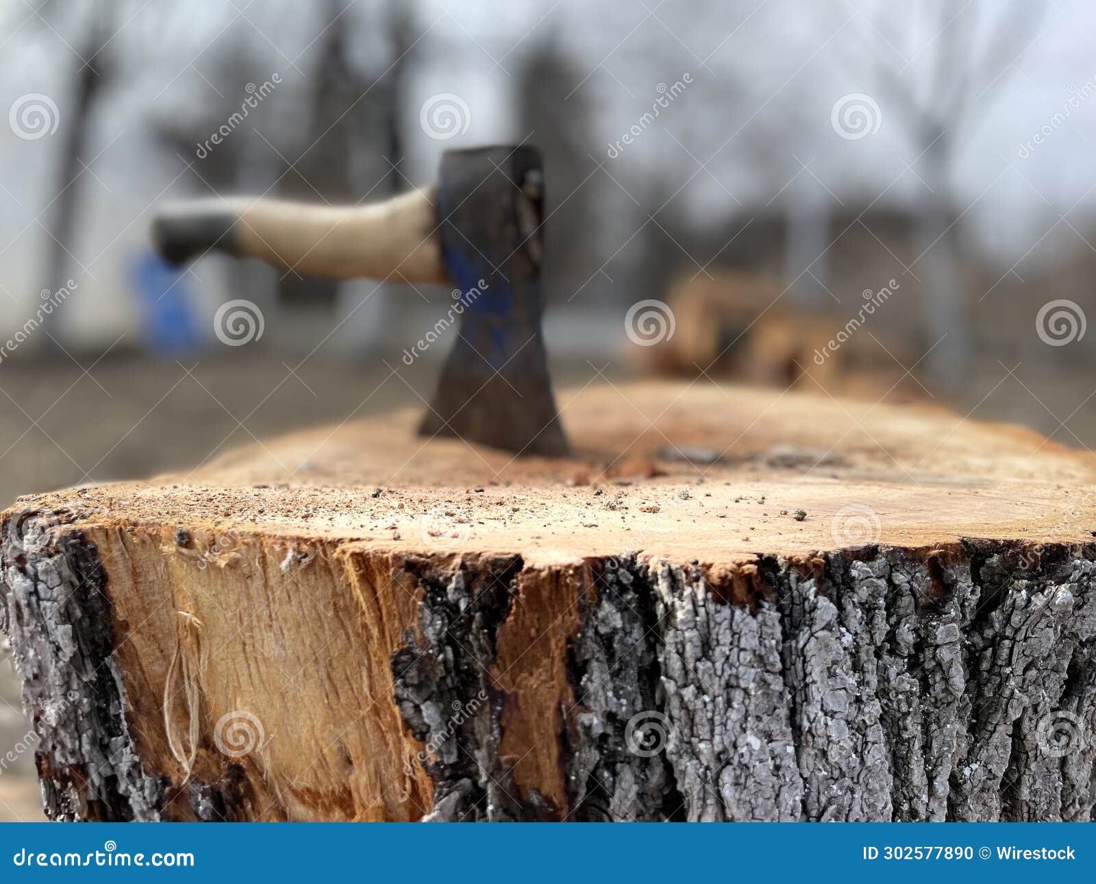 Focus Shot of an Ax Cut through a Timber Log Stock Photo - Image of ...