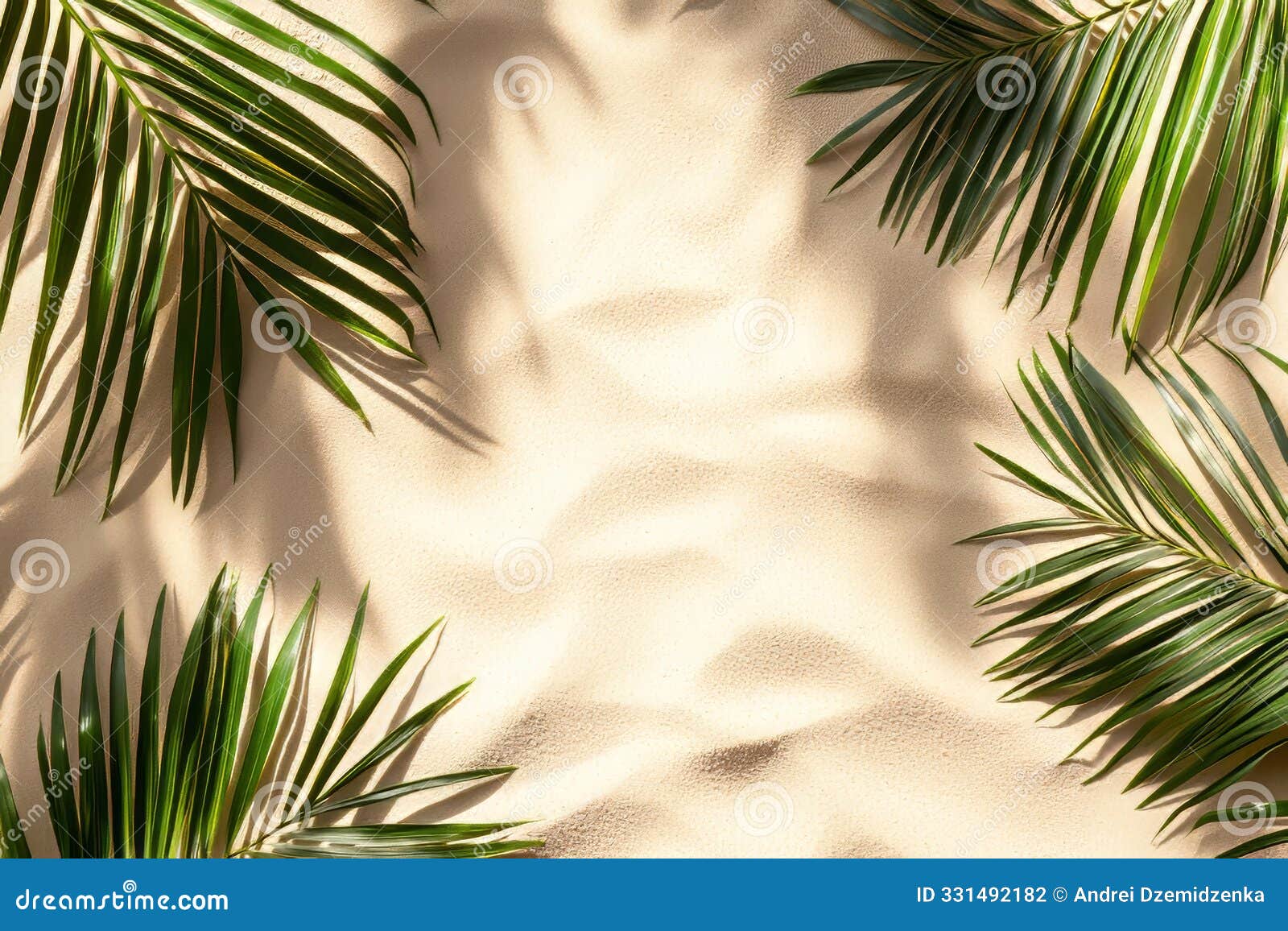Focus on Summer Backgrounds with Coconut Leaf Shadows on Clean Sand ...