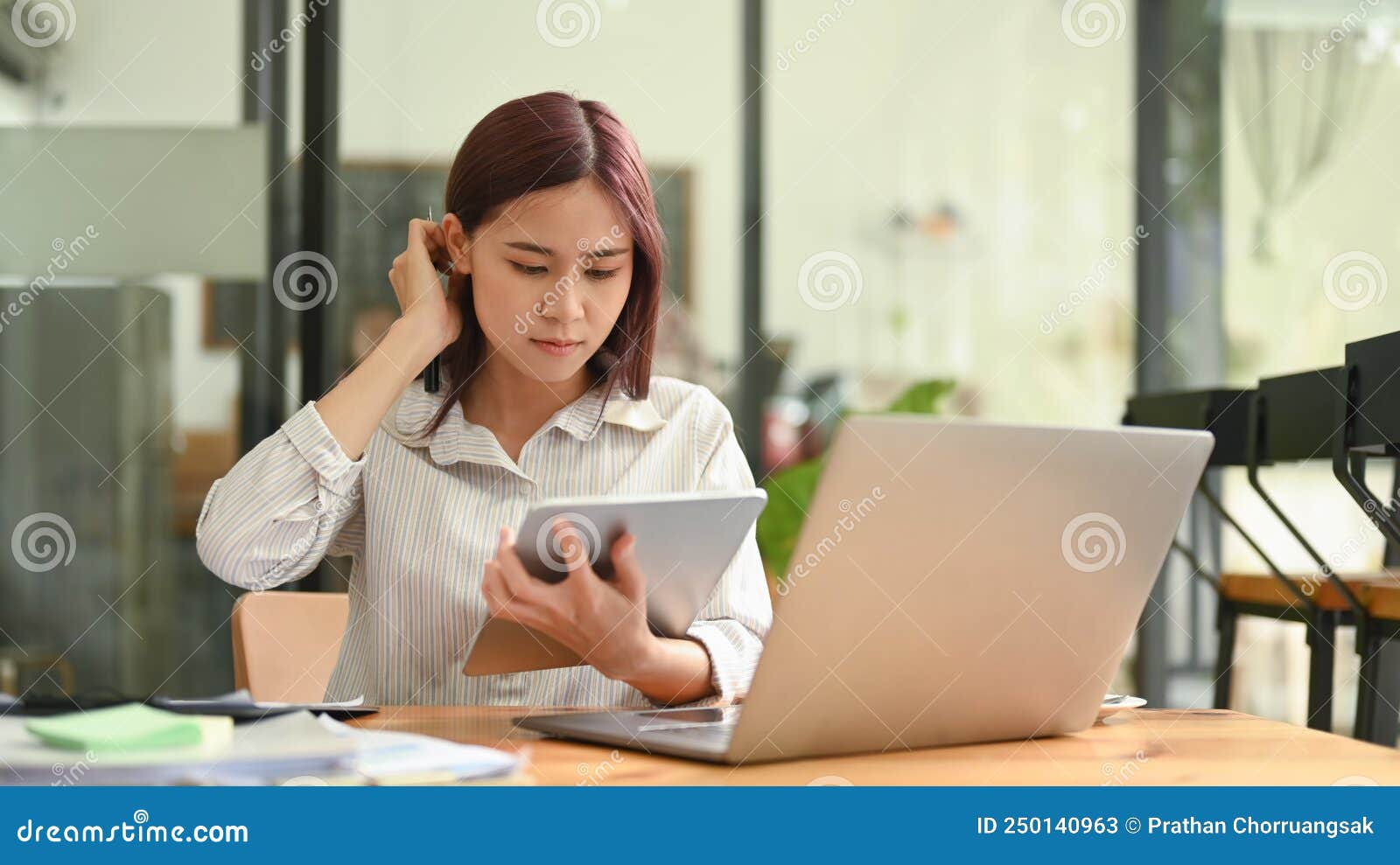 Focused Asian Female Office Worker Sitting Front of Laptop Computer and ...