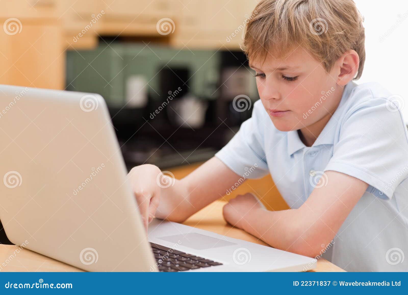 Focused boy using a laptop stock image. Image of pupil - 22371837