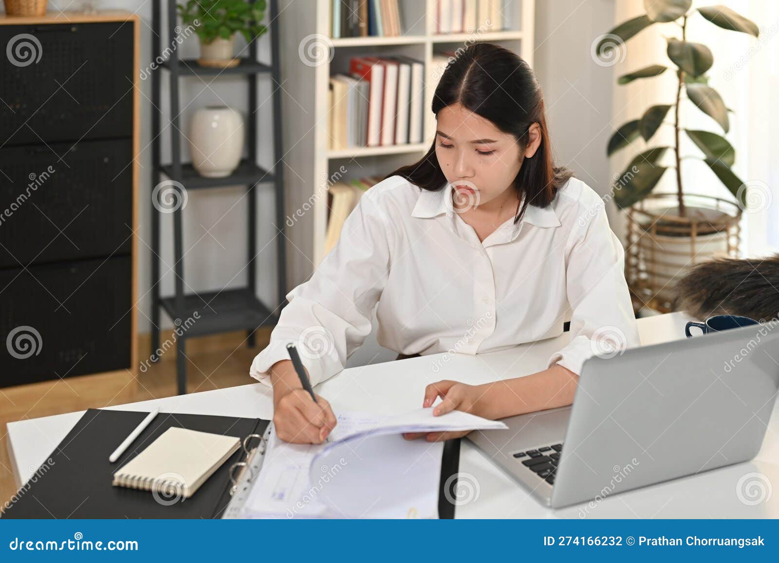 Focused Female Accountant Preparing Financial Reports, Analyzing Work ...