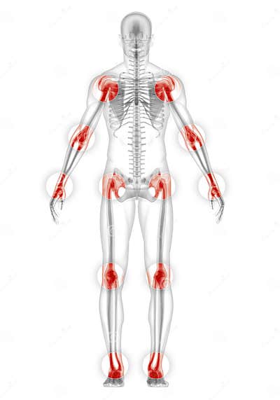 Focused on human joints stock illustration. Illustration of science ...