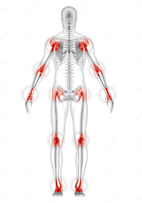 Focused on human joints stock illustration. Illustration of science ...