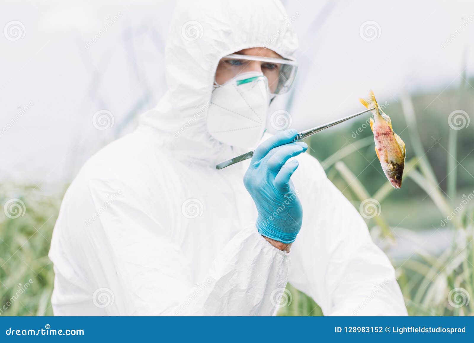 Focused Male Scientist in Protective Suit and Mask Examining Fish Stock ...