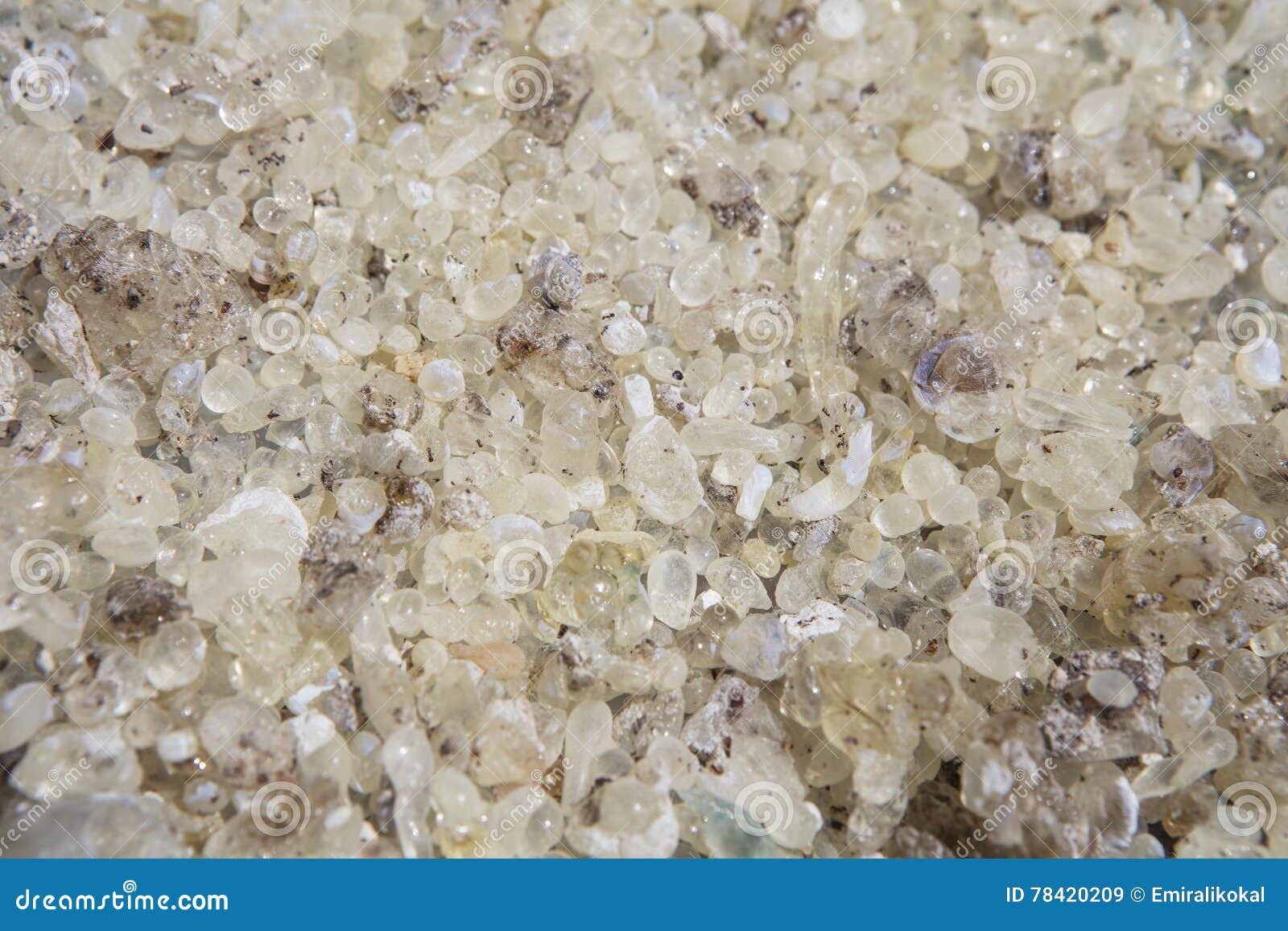 Focused Mastic Detailes in Chios, Greece Stock Image - Image of ...