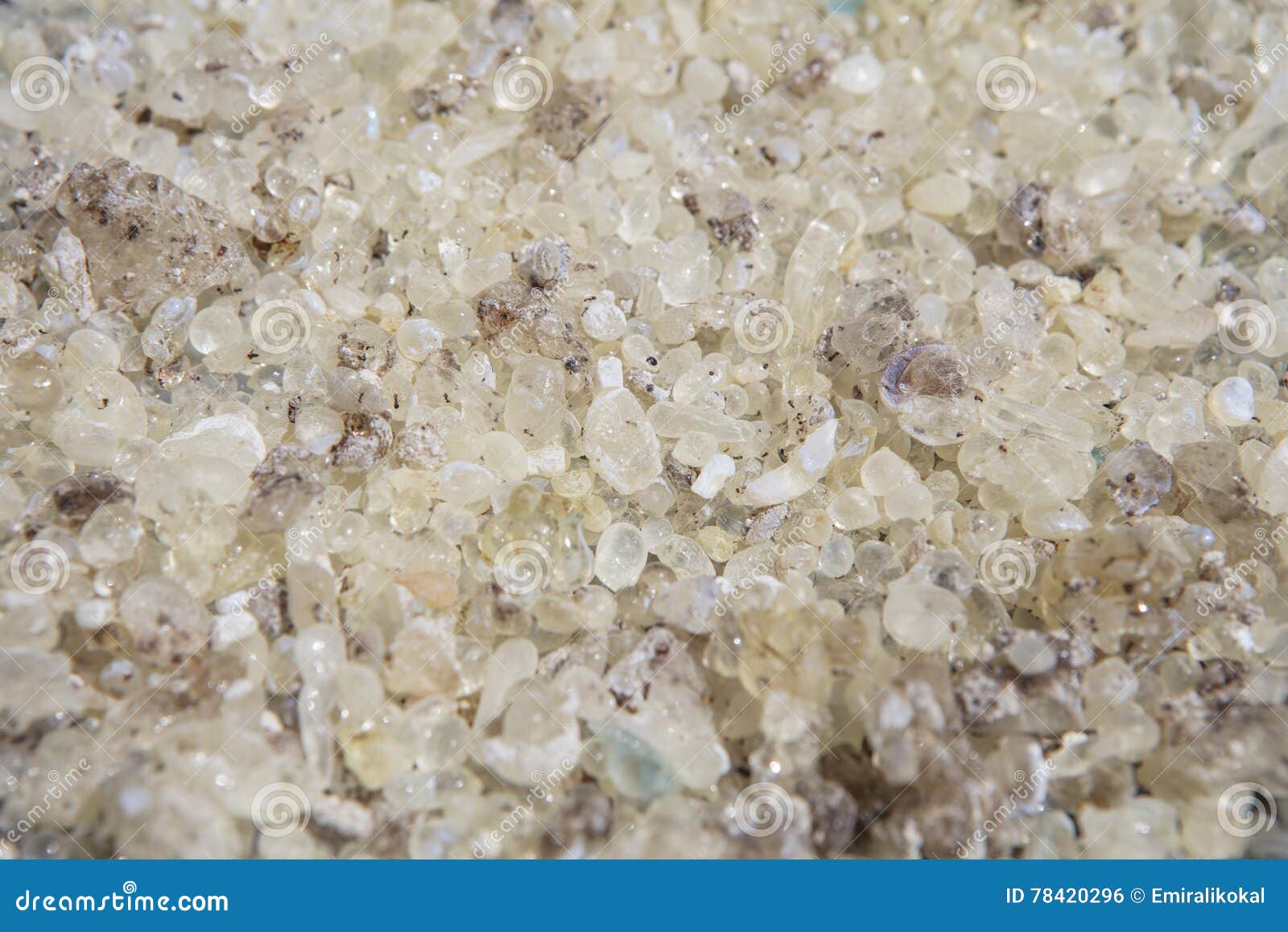 Focused Mastic Detailes in Chios, Greece Stock Photo - Image of spice ...