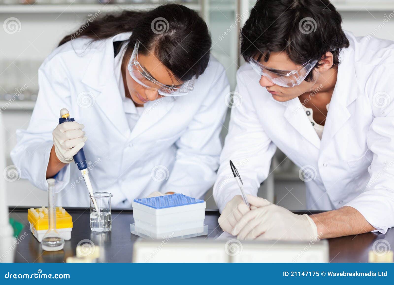 Focused Science Students Making an Experiment Stock Image - Image of ...