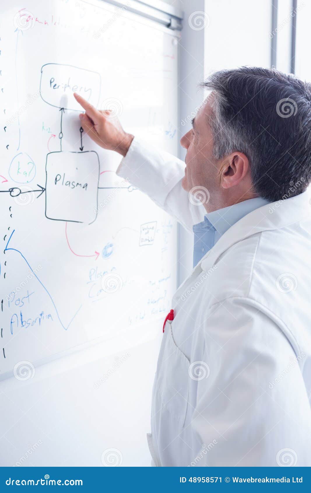 Focused Scientist Pointing Equation on Whiteboard Stock Image - Image ...