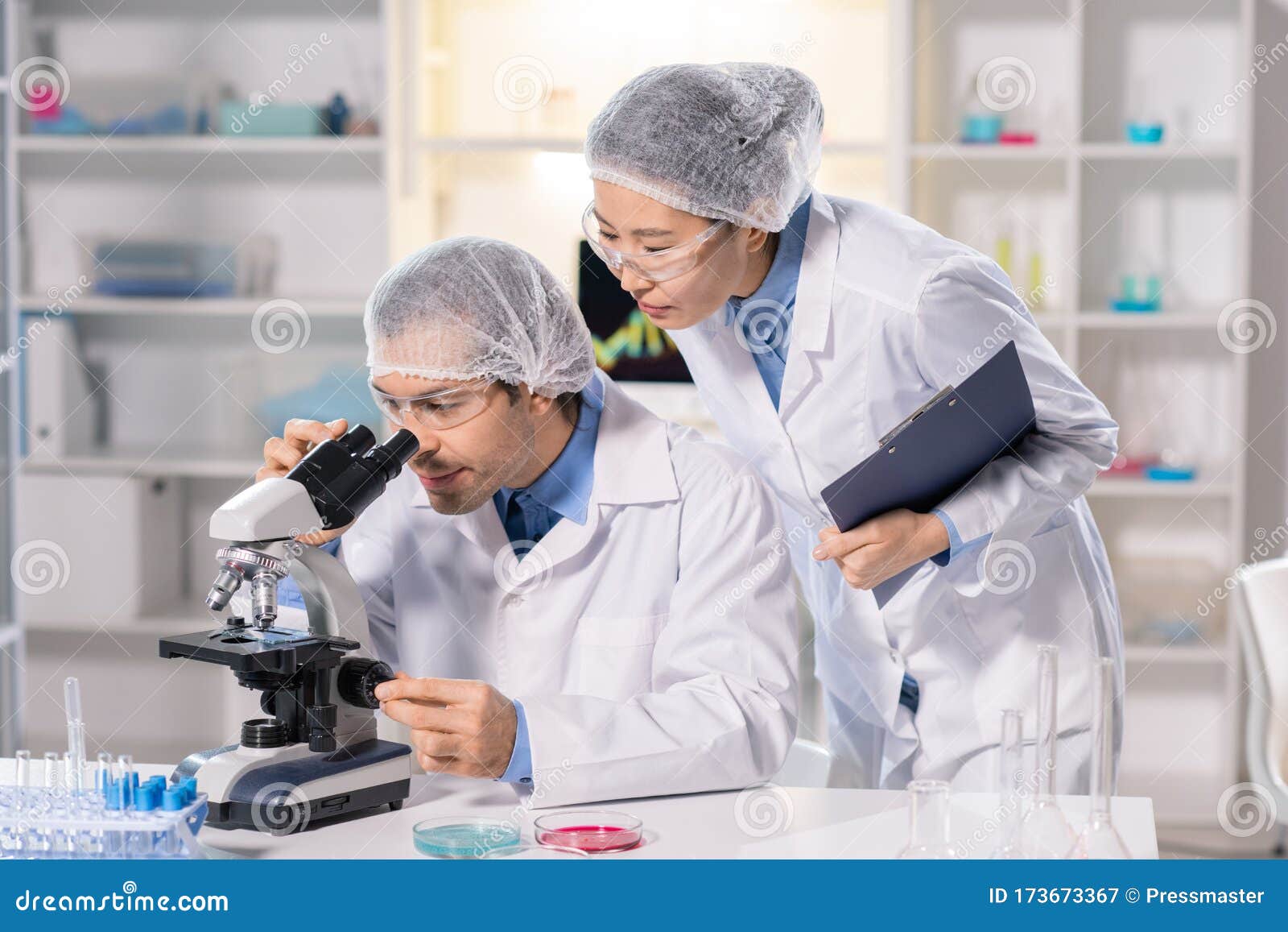 Working on Medical Research with Assistant Stock Image - Image of ...