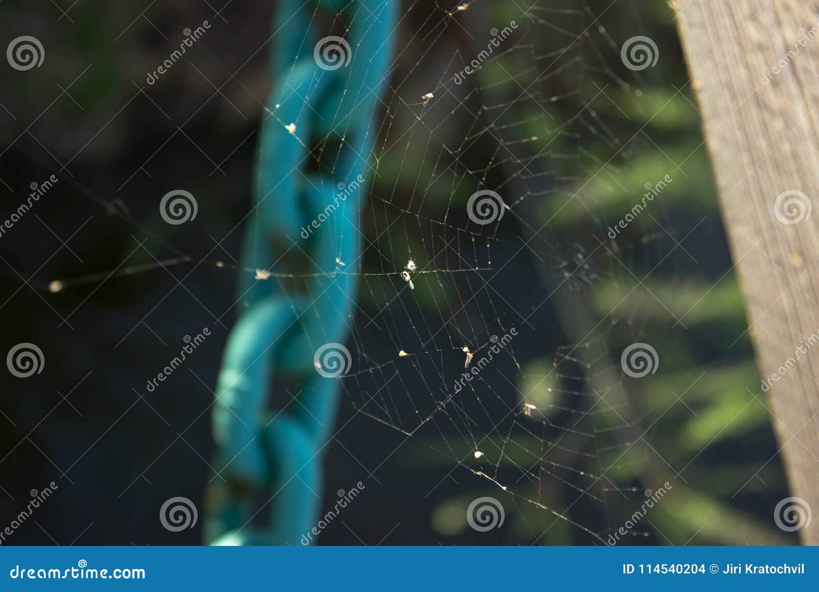 Spider Network - a Blue Chain in the Background Stock Photo - Image of ...