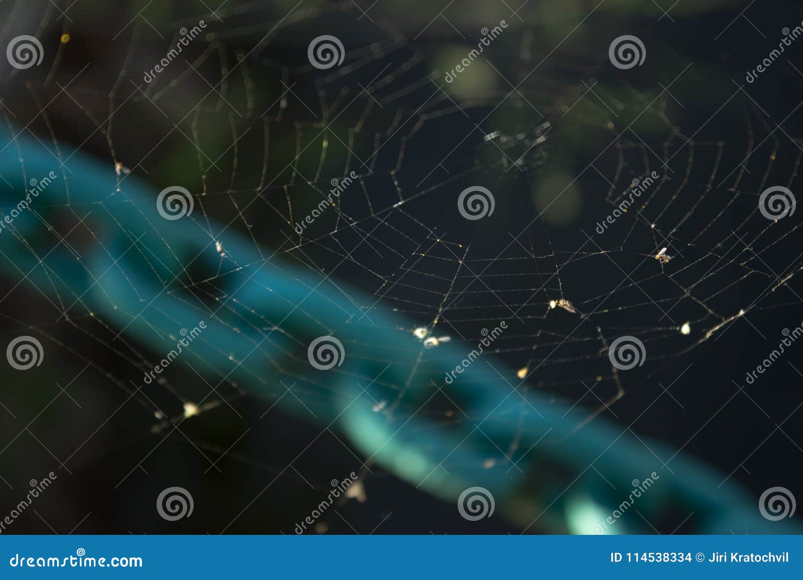 Spider Network - a Blue Chain in the Background Stock Photo - Image of ...