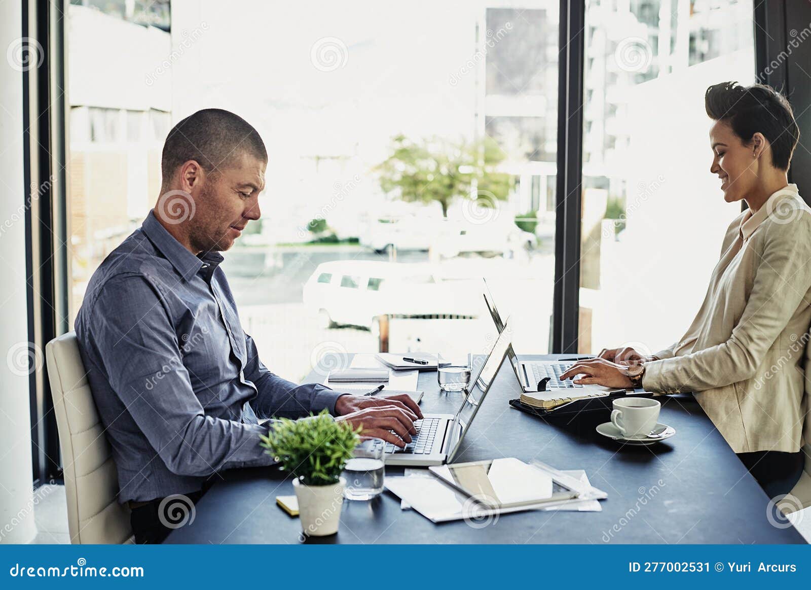 Focused on the Tasks at Hand. Two Colleagues Working in Their Office ...