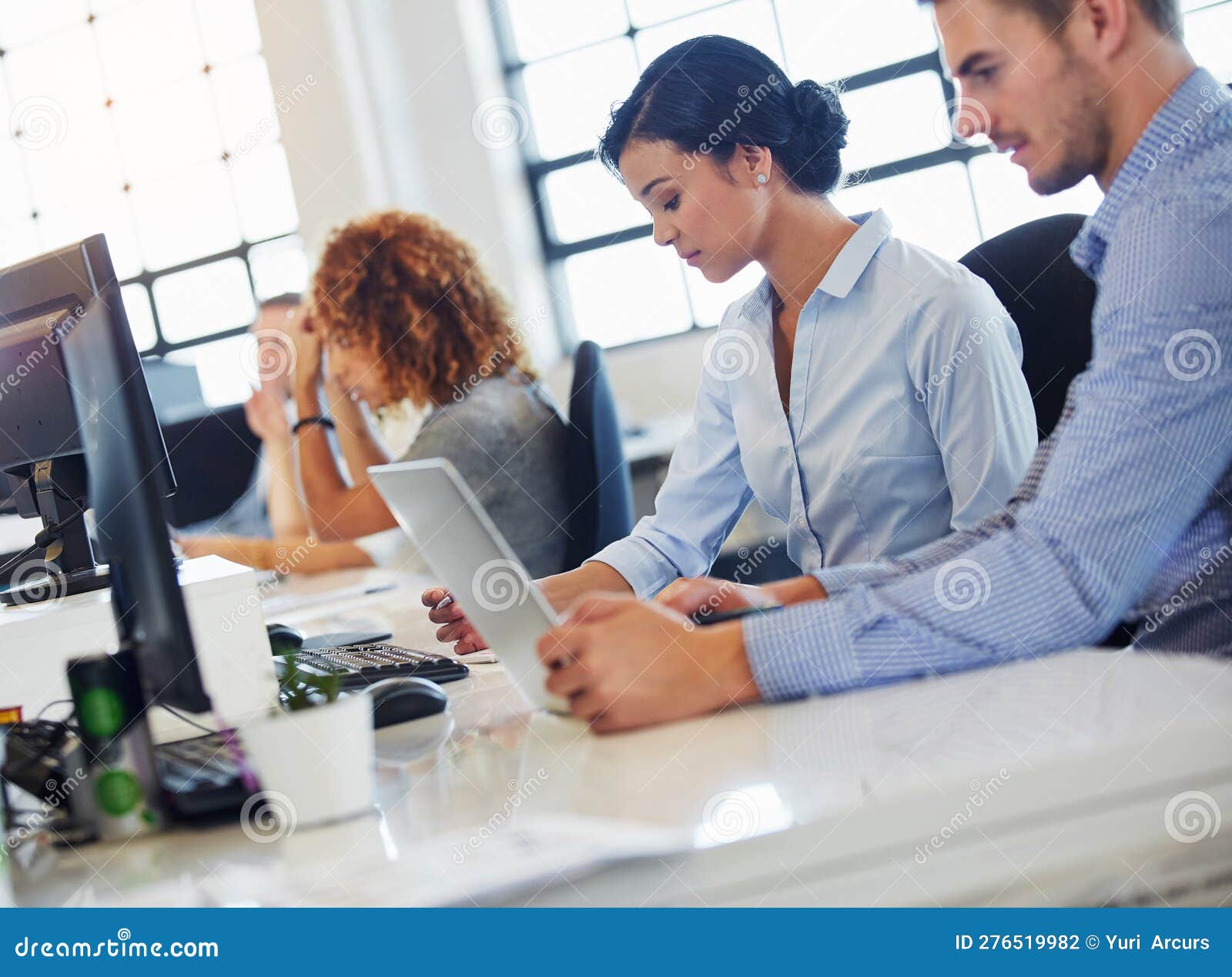 Focused on Their Individual Tasks. a Group of Businesspeople Working in ...