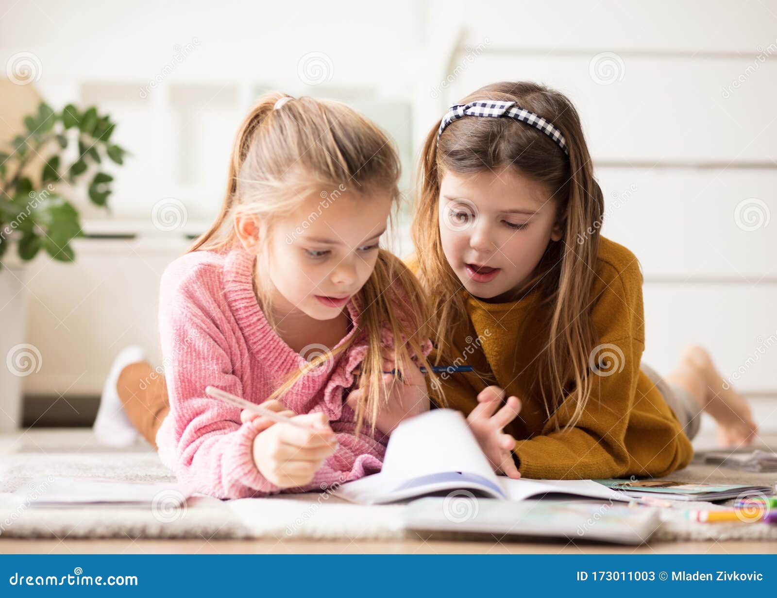 Focused on their studies stock image. Image of females - 173011003