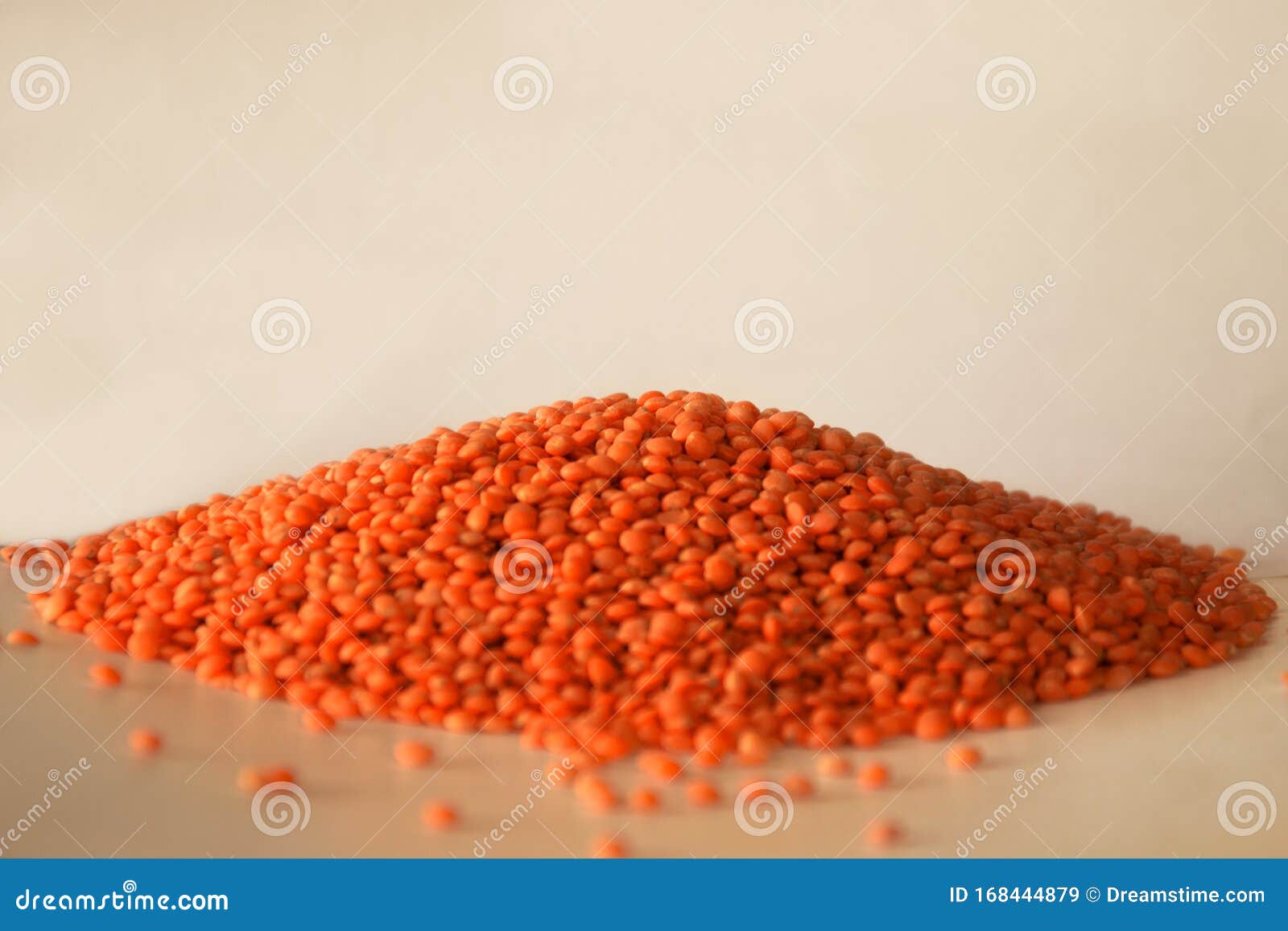 Red Lentil or Musoor Daal Ready To Cook Stock Image - Image of fresh ...