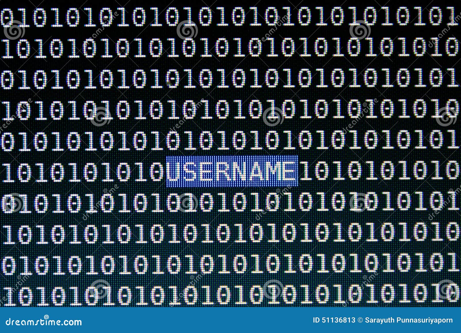 Focusing Username Text on Computer Screen Stock Illustration ...