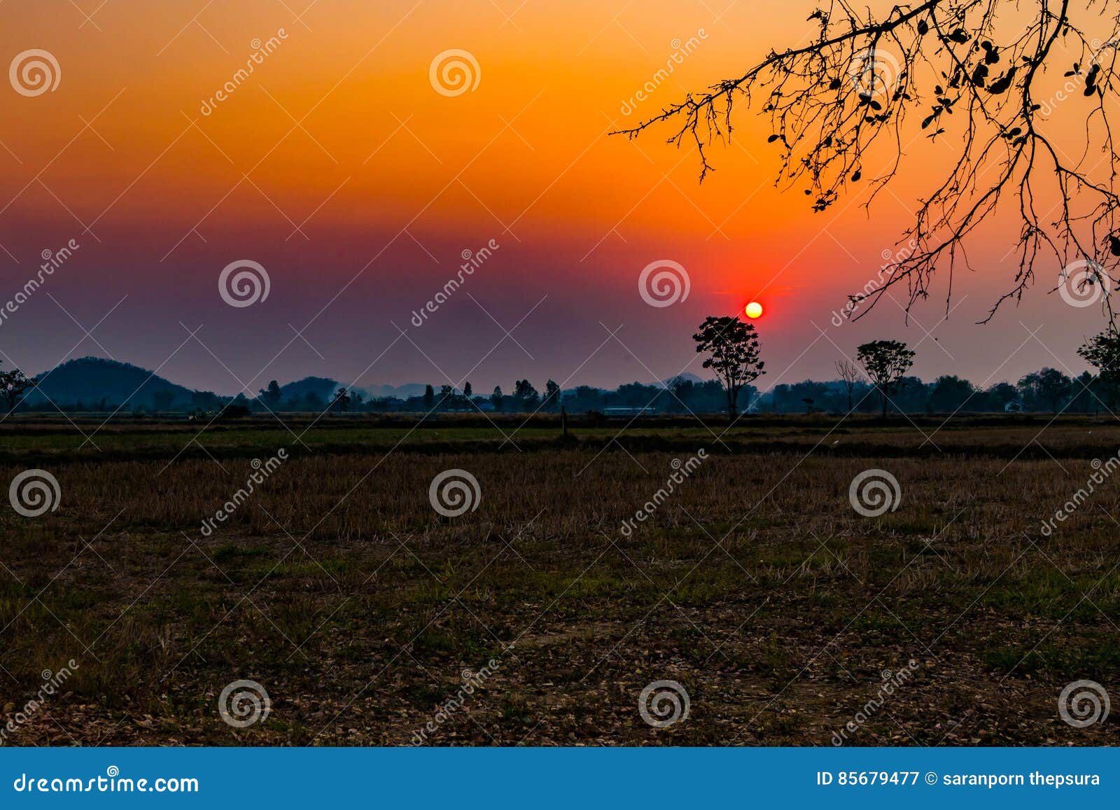 Focusthe Sun and Soft Tone Filter :sunset Over Rice Field. Stock Image ...