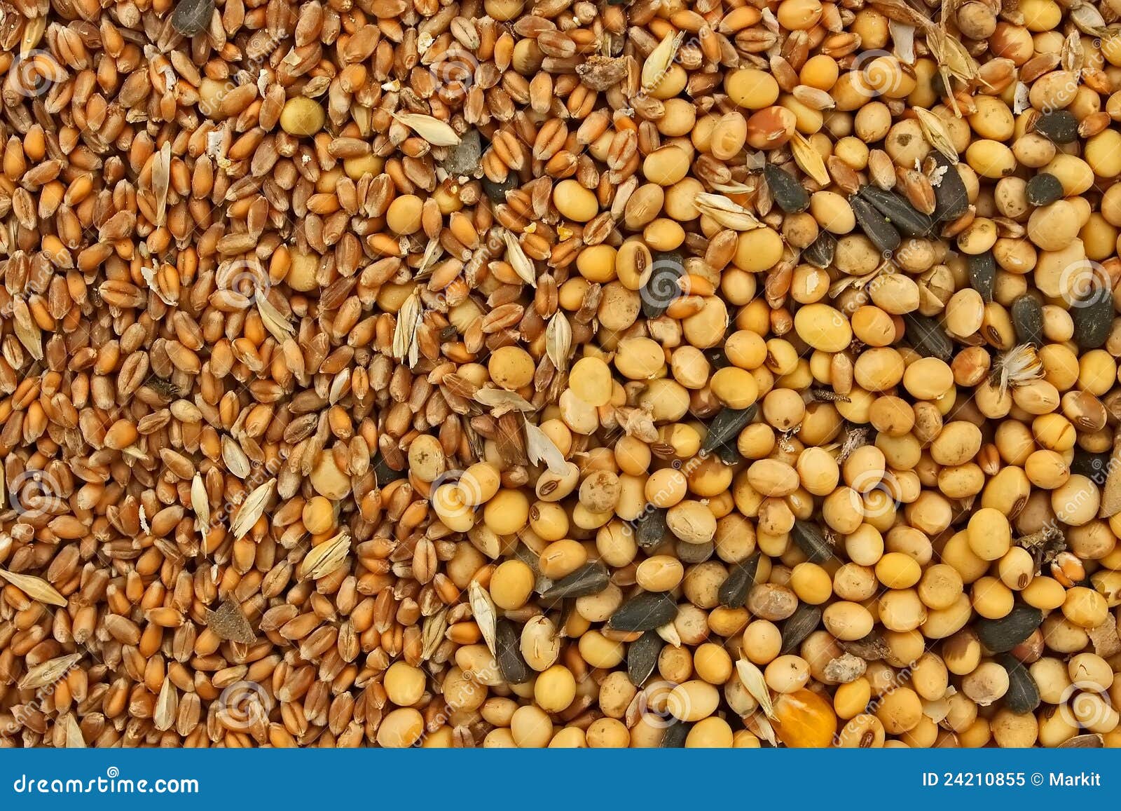 Fodder Blends for Domestic Animals Stock Image - Image of daylight ...