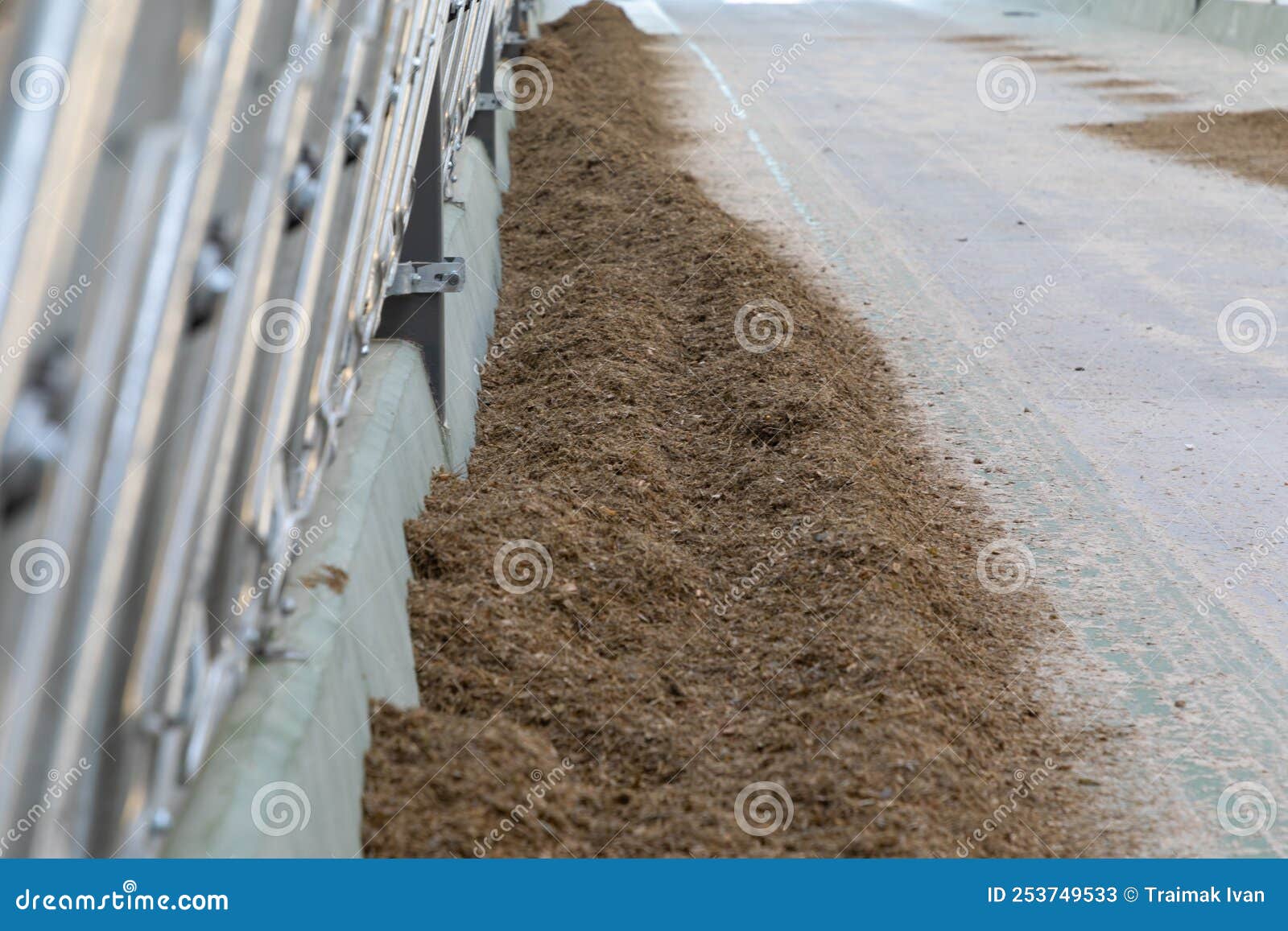 Fodder Table with Compound Feed at a Modern Dairy Cow Farm Stock Image ...