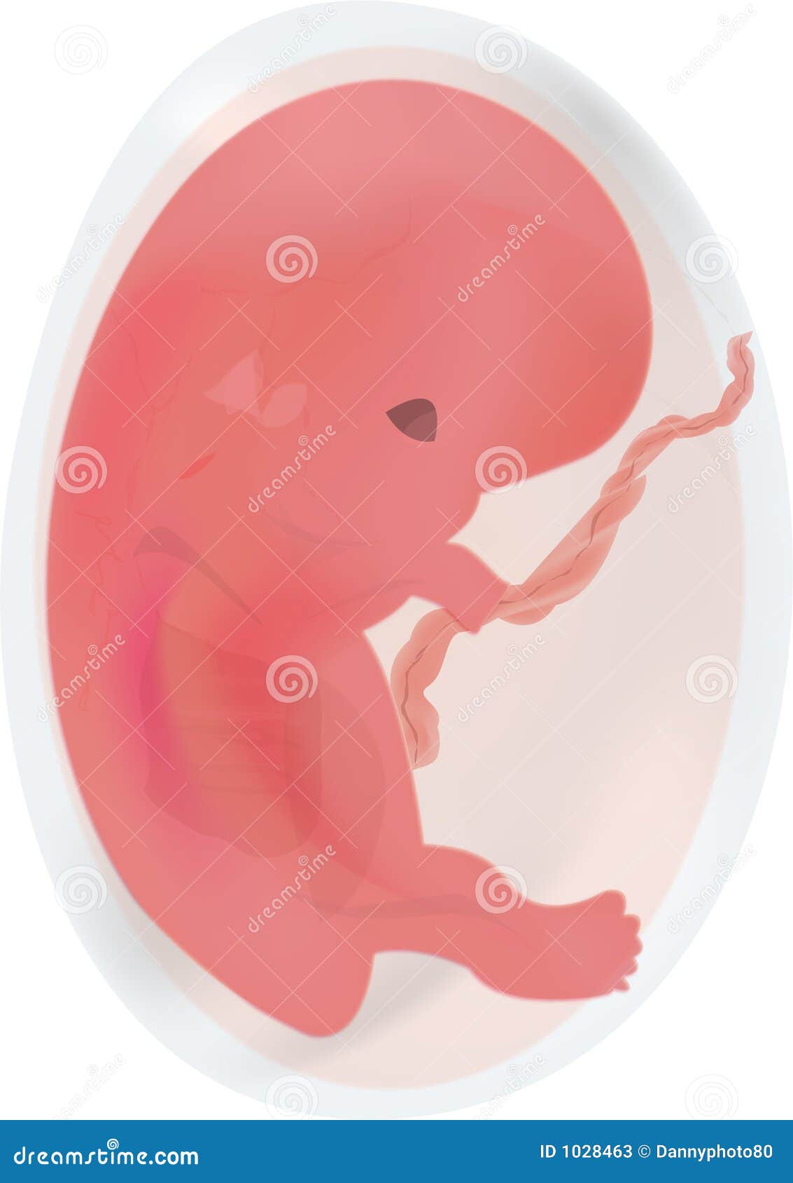Foetus Cartoons, Illustrations & Vector Stock Images - 905 Pictures to ...