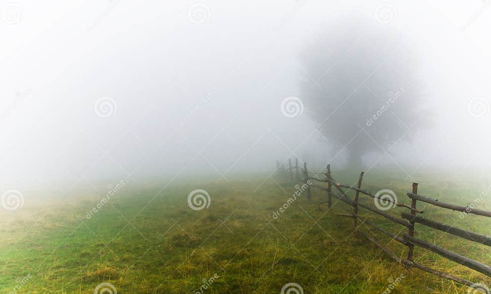 Fog stock photo. Image of grass, season, ranch, fall - 12338312